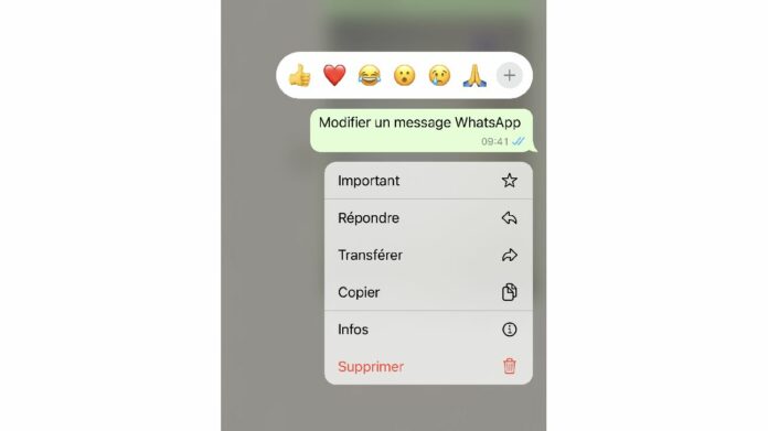 Modifier vos Messages WhatsApp, C'est Possible Même Après leur Envoi ...